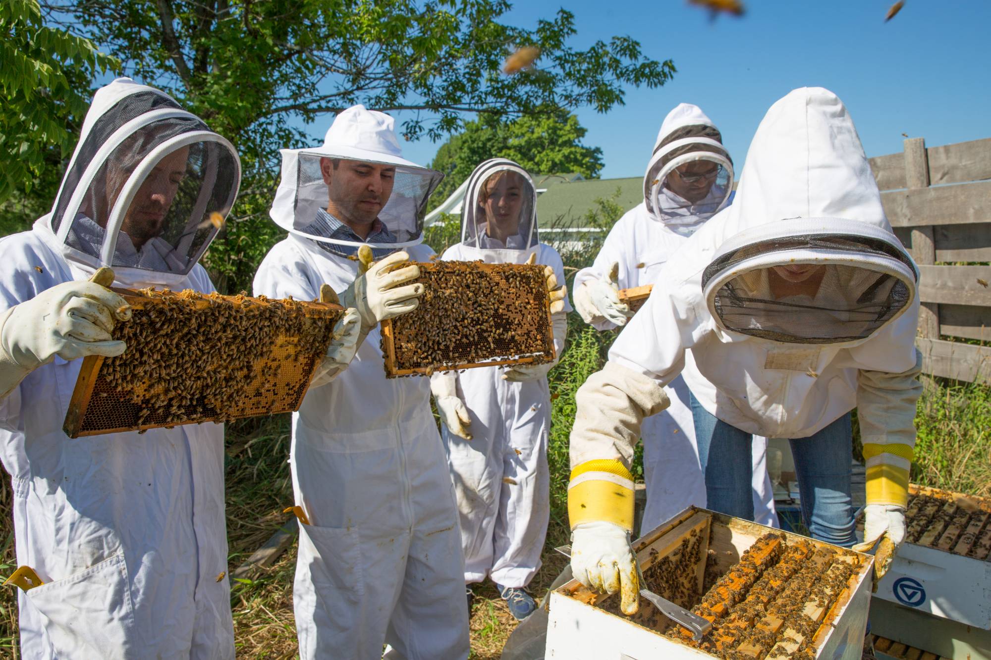 Products – Honey Haven Supply